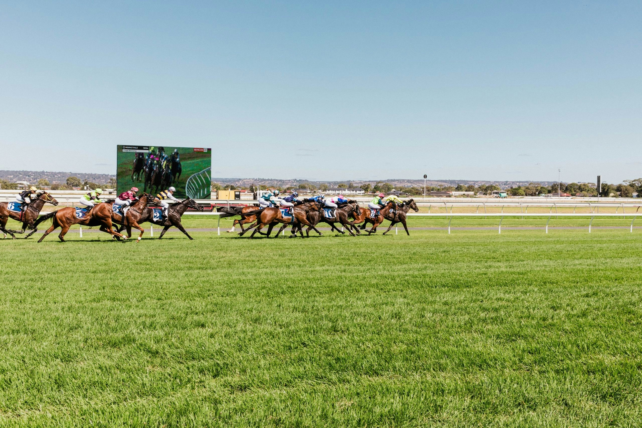 Morphettville Racecourse | South Australian Jockey Club | Adelaide SA