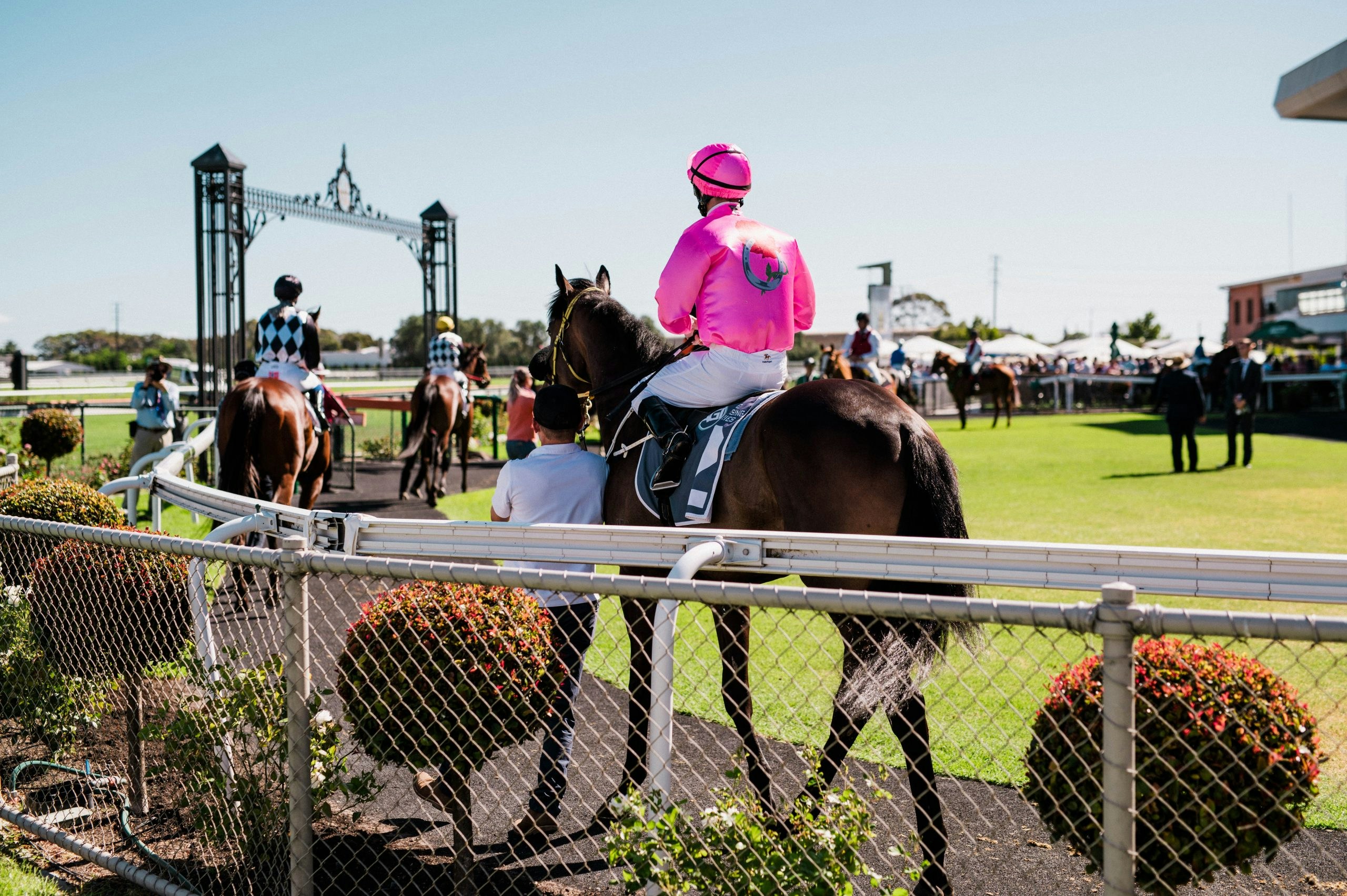 Morphettville Racecourse | South Australian Jockey Club | Adelaide SA